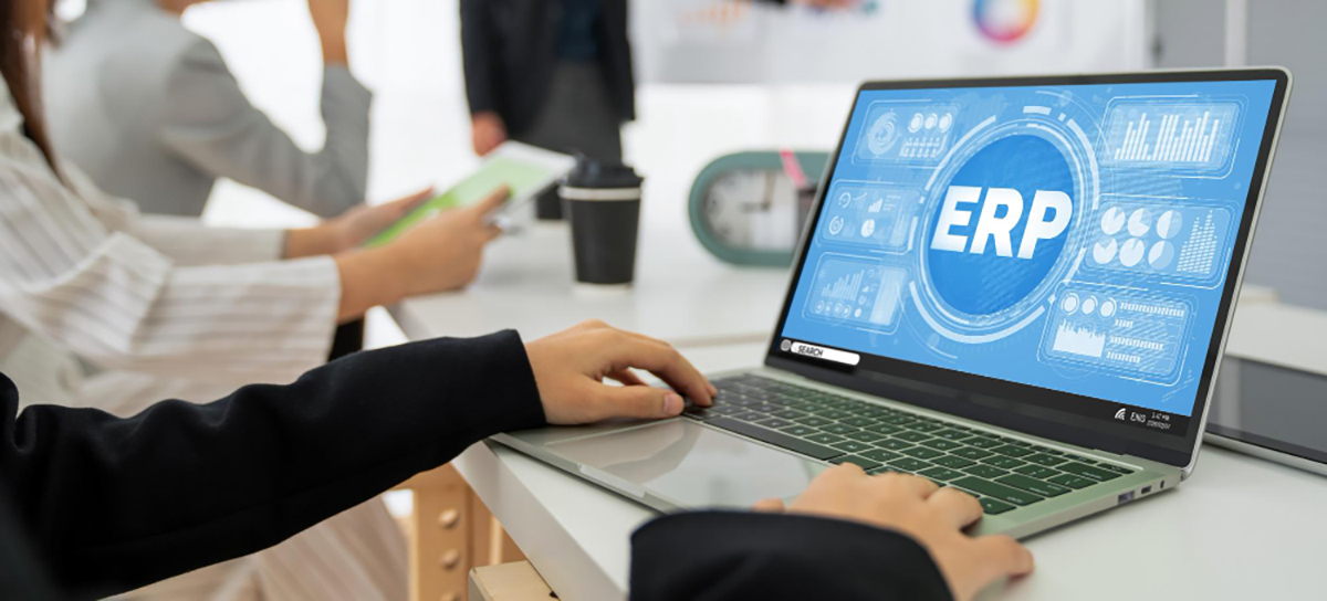 RedandBlue ERP Services & Synchronized Systems: Mastering Enterprise ...